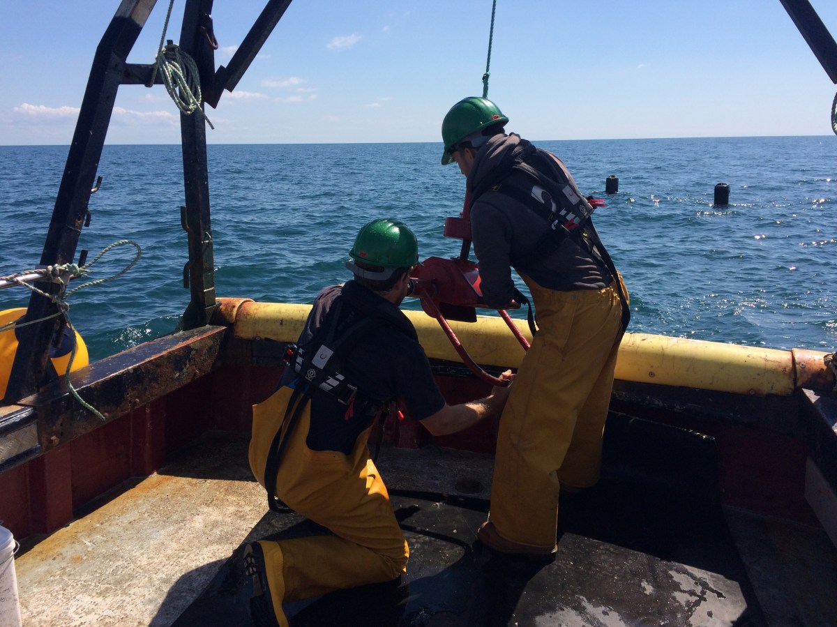 Sampling the infauna – aMER – applied Marine Ecosystems Research