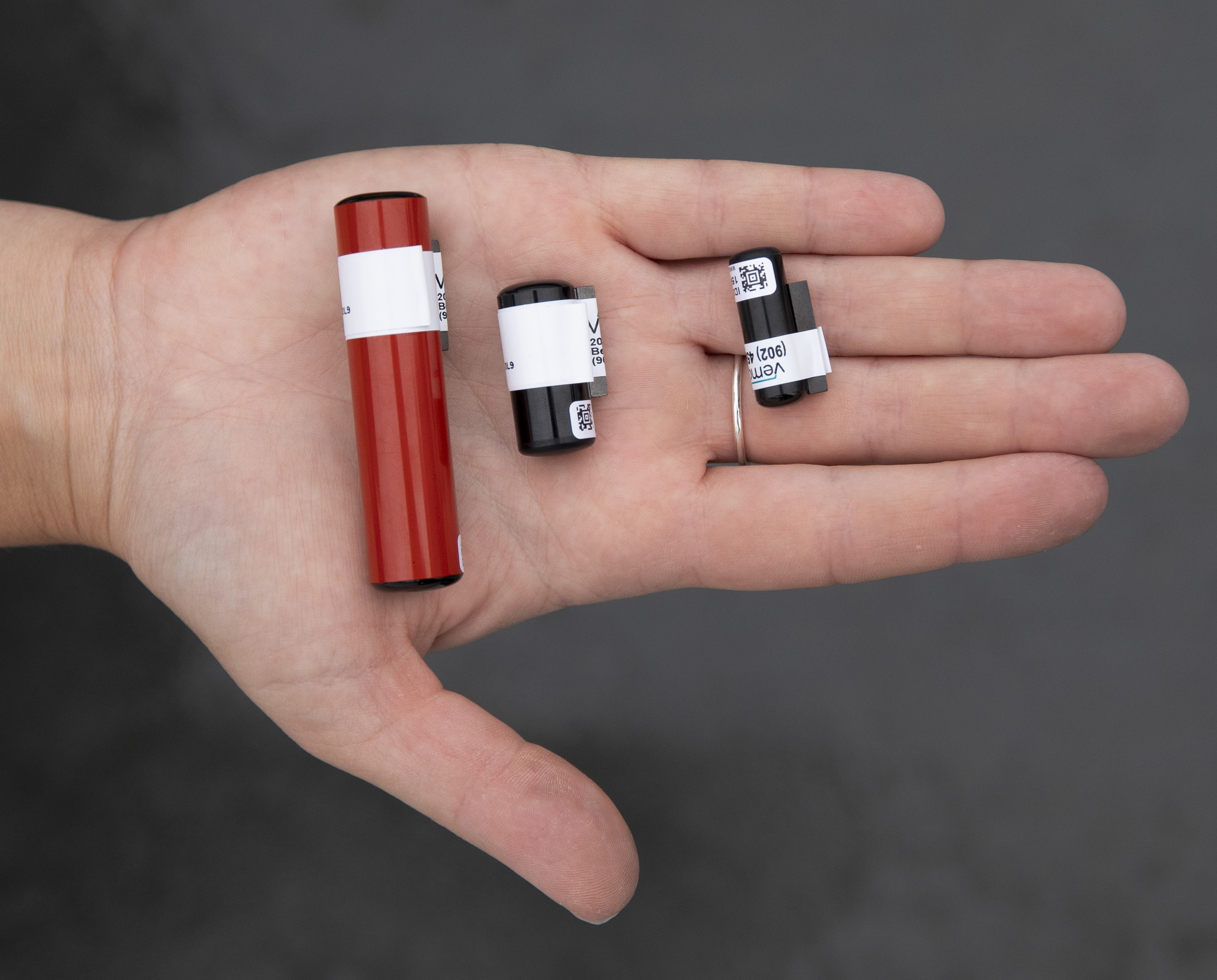 Fish Intel Network – aMER – applied Marine Ecosystems Research