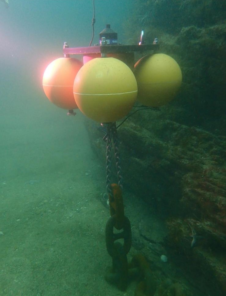 Fish Intel Network – aMER – applied Marine Ecosystems Research